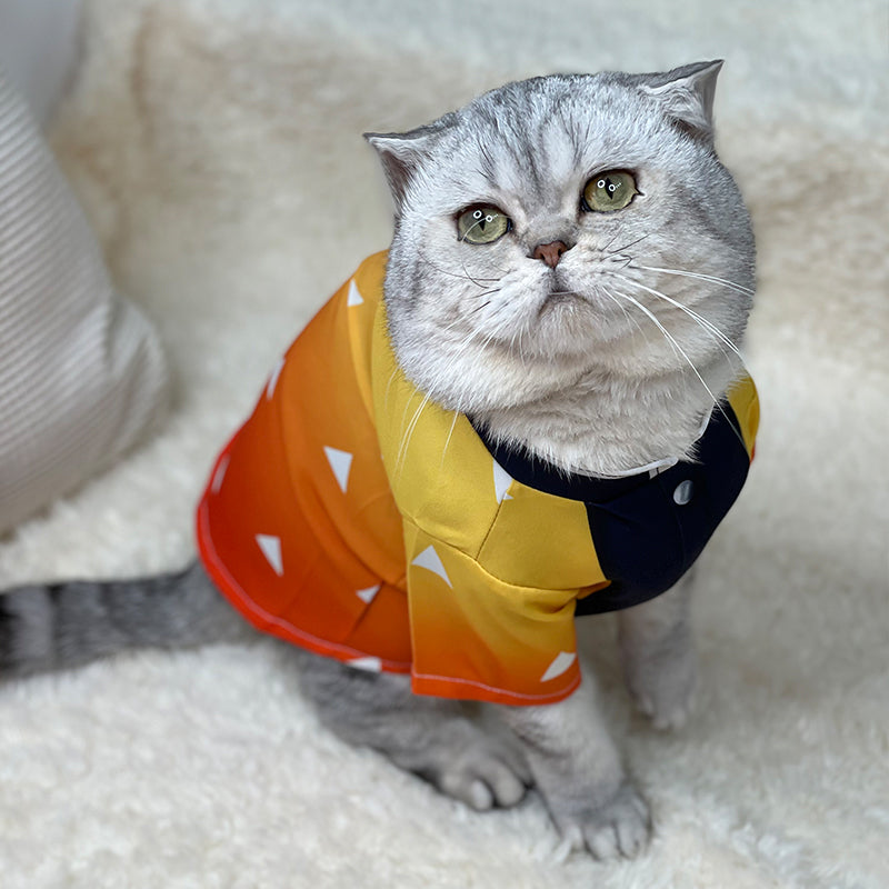 Zenitsu Agatsuma Easy Wear Costume [Demon Slayer] – Usagi Draws