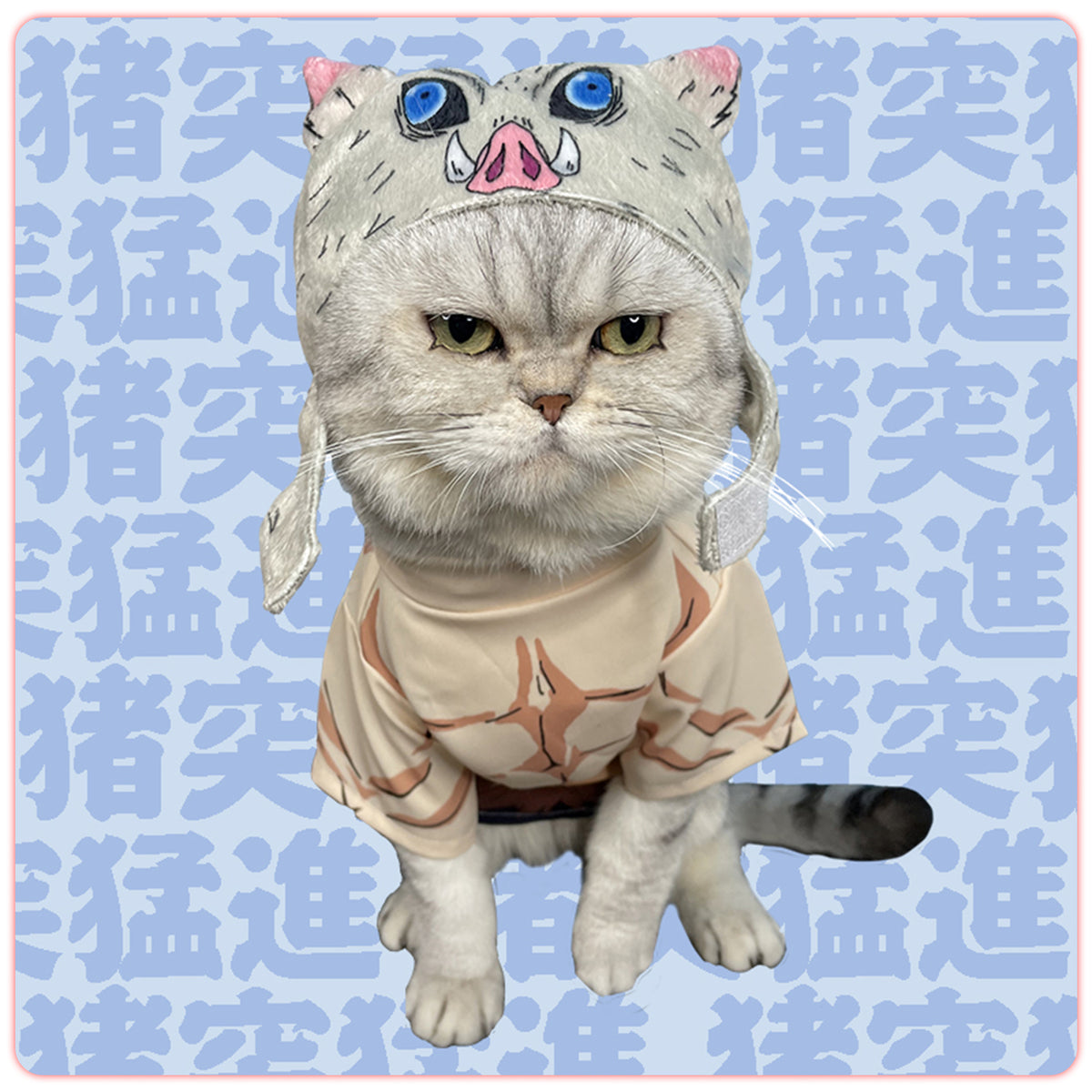 Hashibira Inosuke Easy Wear Costume [Demon Slayer] – Usagi Draws